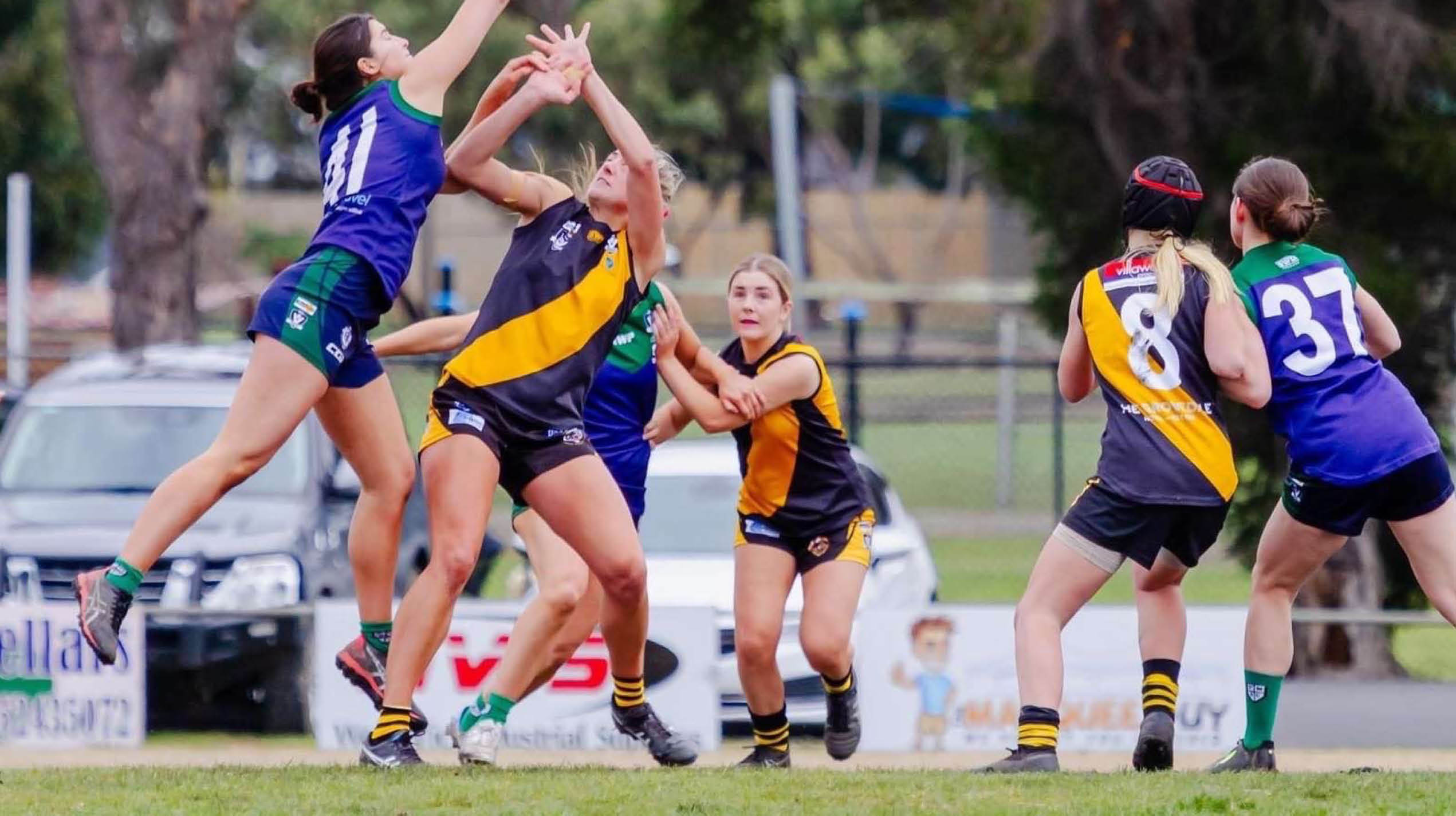 Heartbreaking end for Tigers - Colac Herald